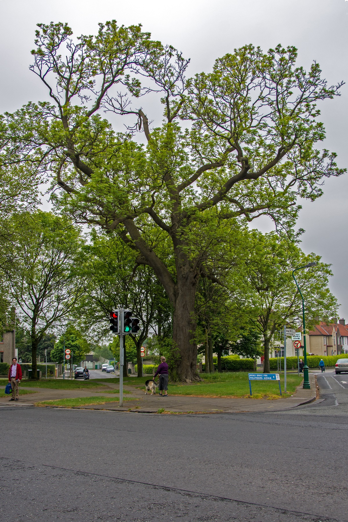 Gallery | St. Vincent de Paul Parish, Marino, Dublin, Ireland